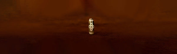 Garuda Dzi: Lifts You Above Challenges and Clears the Path to Freedom